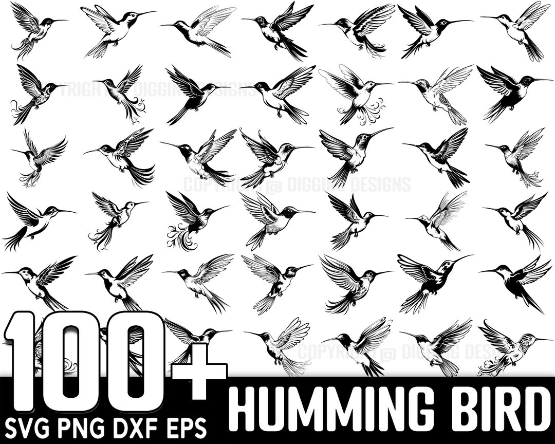 100+ Humming Bird SVG Bundle, Instant Digital Download, PNG, SVG Cut ...