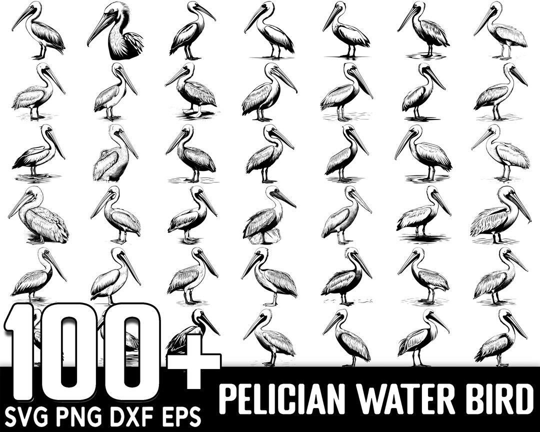 100+ Pelican Water Bird SVG Bundle, Instant Digital Download, PNG, SVG ...