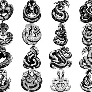 100+ Snake King Cobra, Instant Digital Download, PNG, SVG Cut Files - Etsy