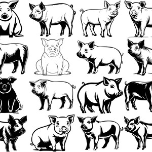 100+ Pig Pose SVG Bundle, Instant Digital Download, PNG, SVG Cut Files ...