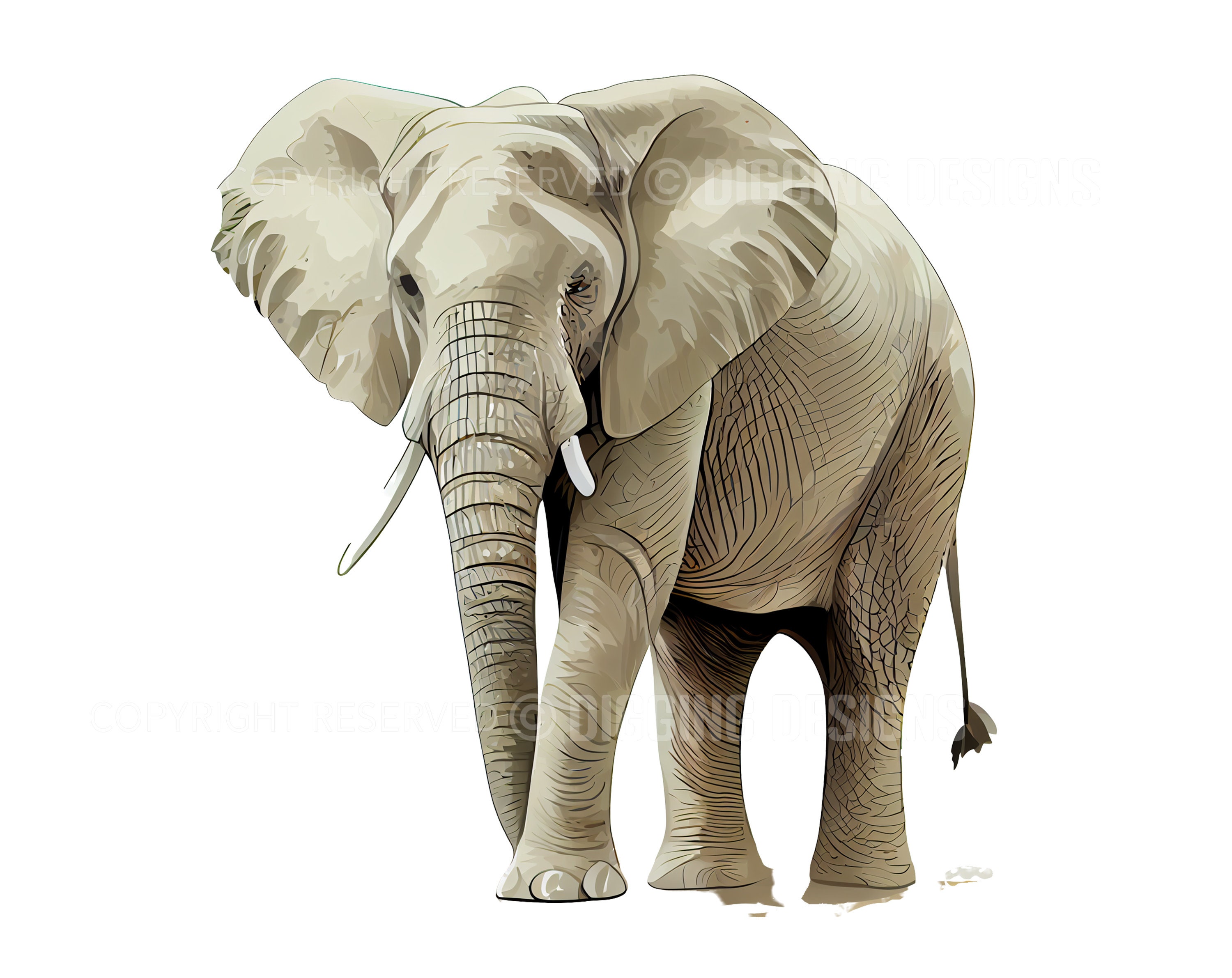 Set of 21 Elephant Realistic Clipart Animal Clip Art - Etsy