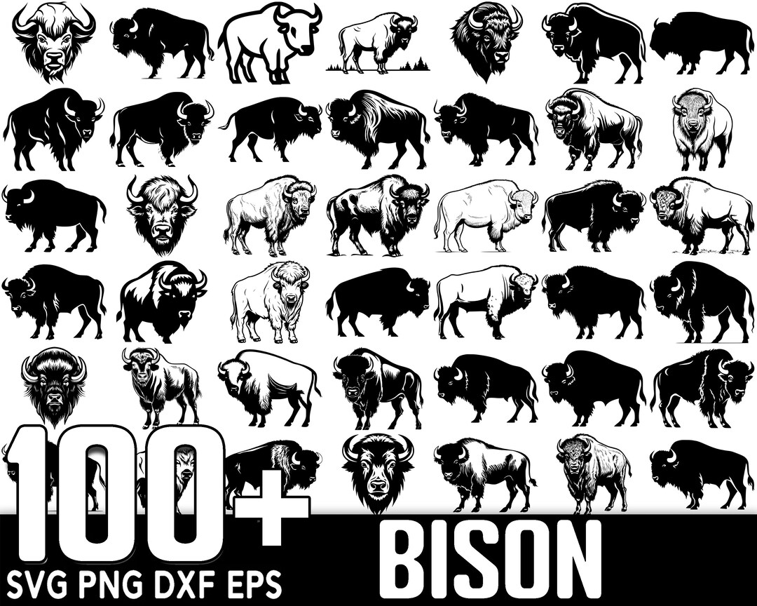 100+ Bison SVG Bundle, Instant Digital Download, PNG, SVG Cut Files - Etsy