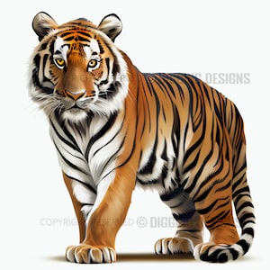 Tiger Realistic Clipart, Tiger Clip Art, Premium Quality Arts, Instant ...