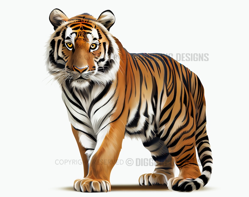 Tiger Realistic Clipart, Tiger Clip Art, Premium Quality Arts, Instant ...