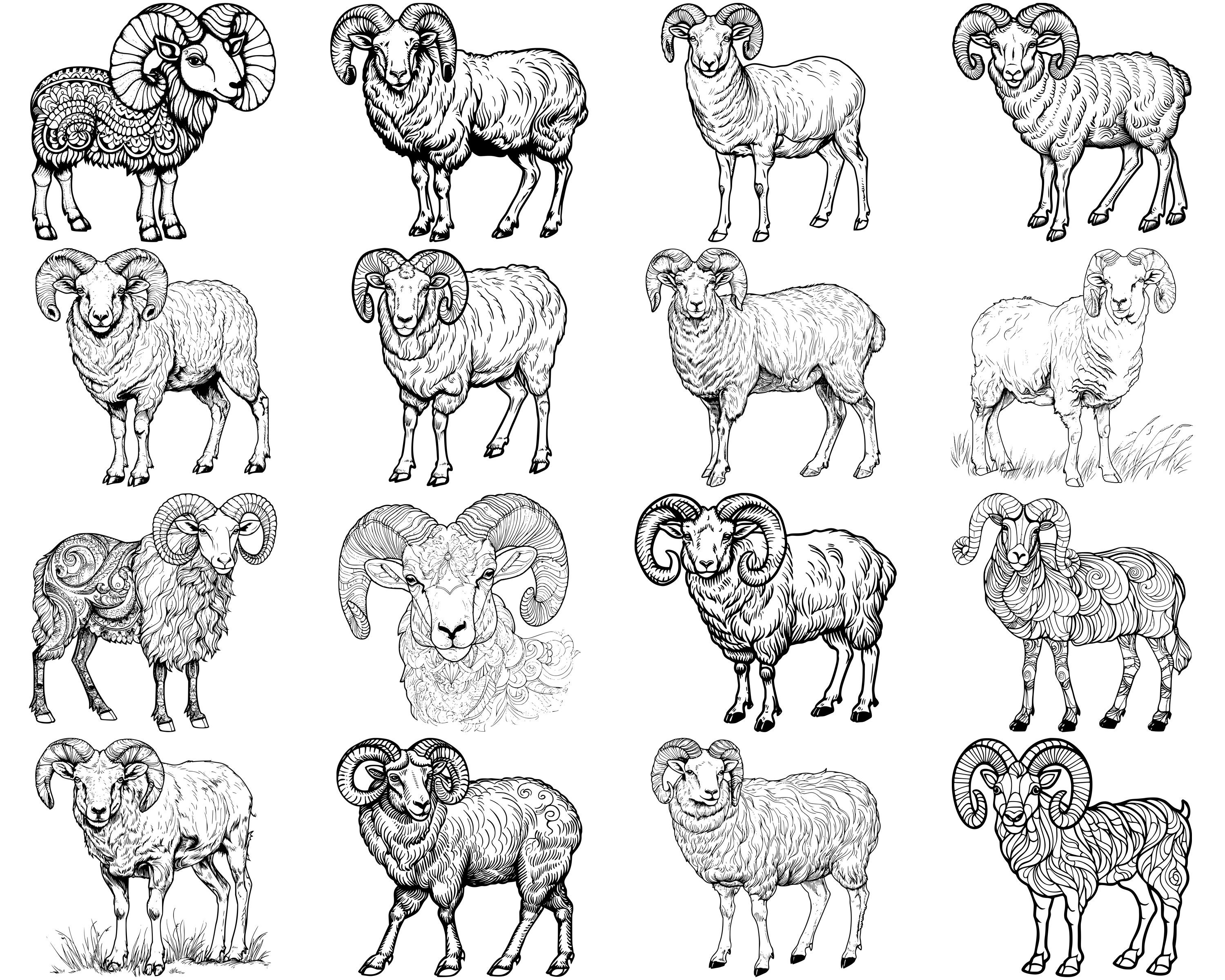 Ram Sheep SVG Bundle,instant Digital Download, PNG, SVG Cut Files - Etsy