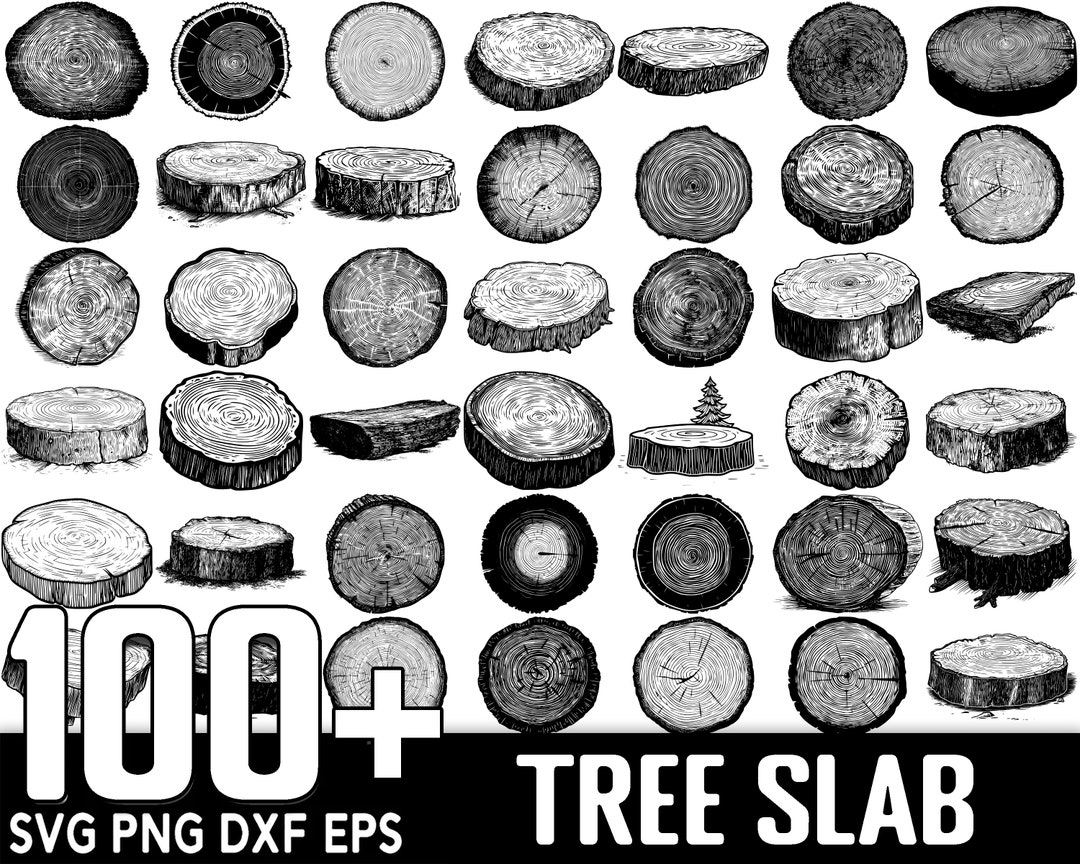 100+ Tree Slab SVG Bundle,instant Digital Download, PNG, SVG Cut Files ...