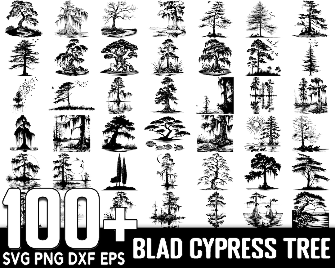 100+ Bald Cypress Tree Farmhouse ,instant Digital Download, PNG, SVG ...