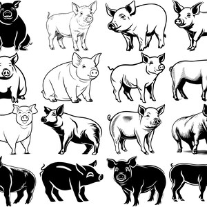 100+ Pig Pose SVG Bundle, Instant Digital Download, PNG, SVG Cut Files ...