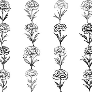 100+ Carnation Flower SVG Bundle, Instant Digital Download, PNG, SVG ...