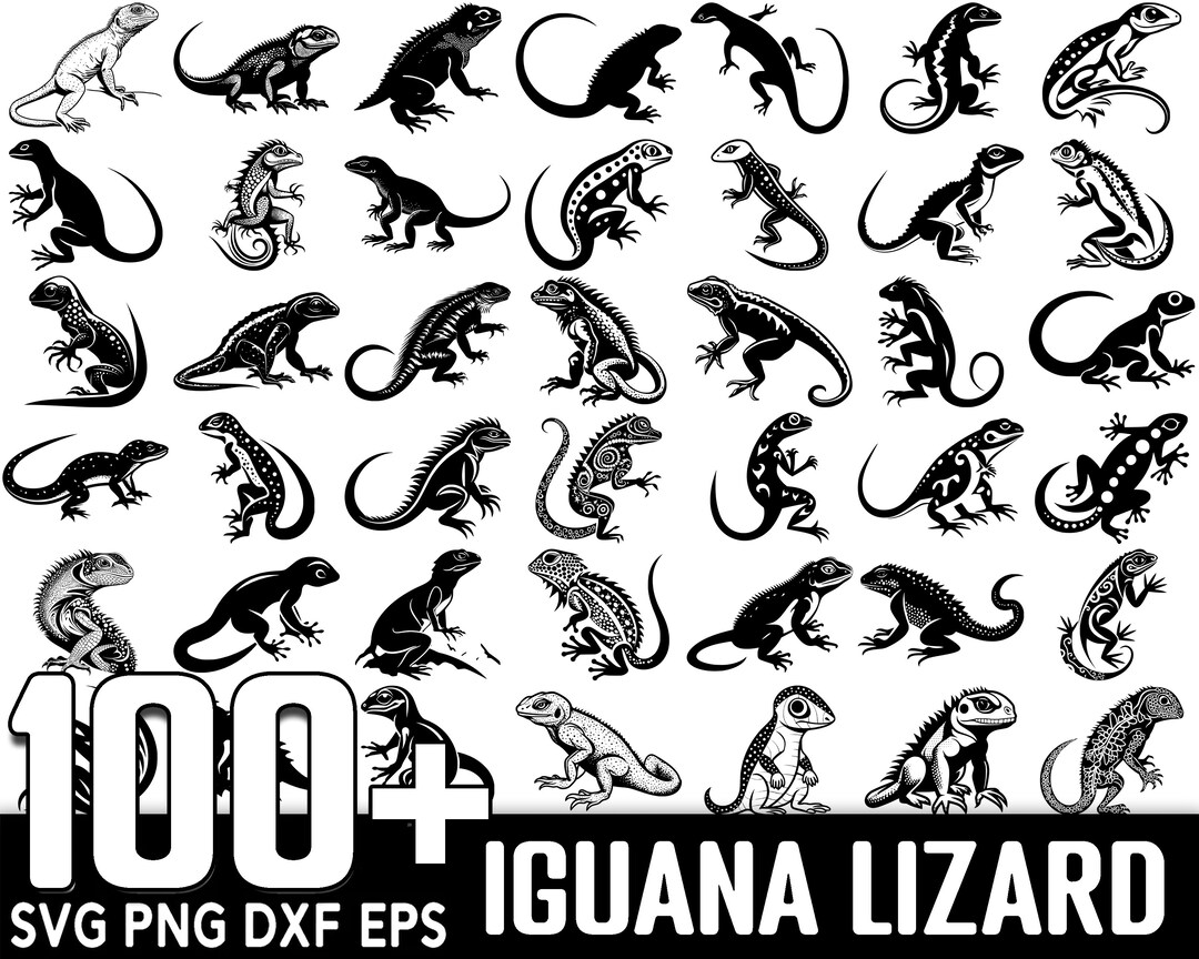 100+ Iguana Lizard SVG Bundle, Instant Digital Download, PNG, SVG Cut ...