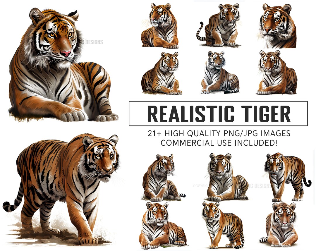 Tiger Realistic Clipart, Tiger Clip Art, Premium Quality Arts, Instant ...
