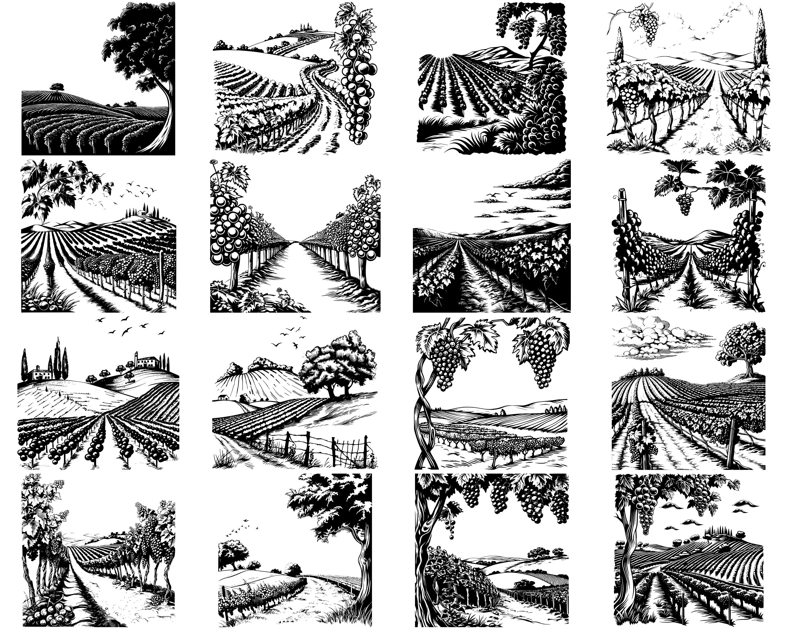 100+ Vineyard Scene SVG Bundle, Instant Digital Download, PNG, SVG Cut ...