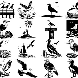 100+ Seagull SVG Bundle, Instant Digital Download, PNG, SVG Cut Files ...