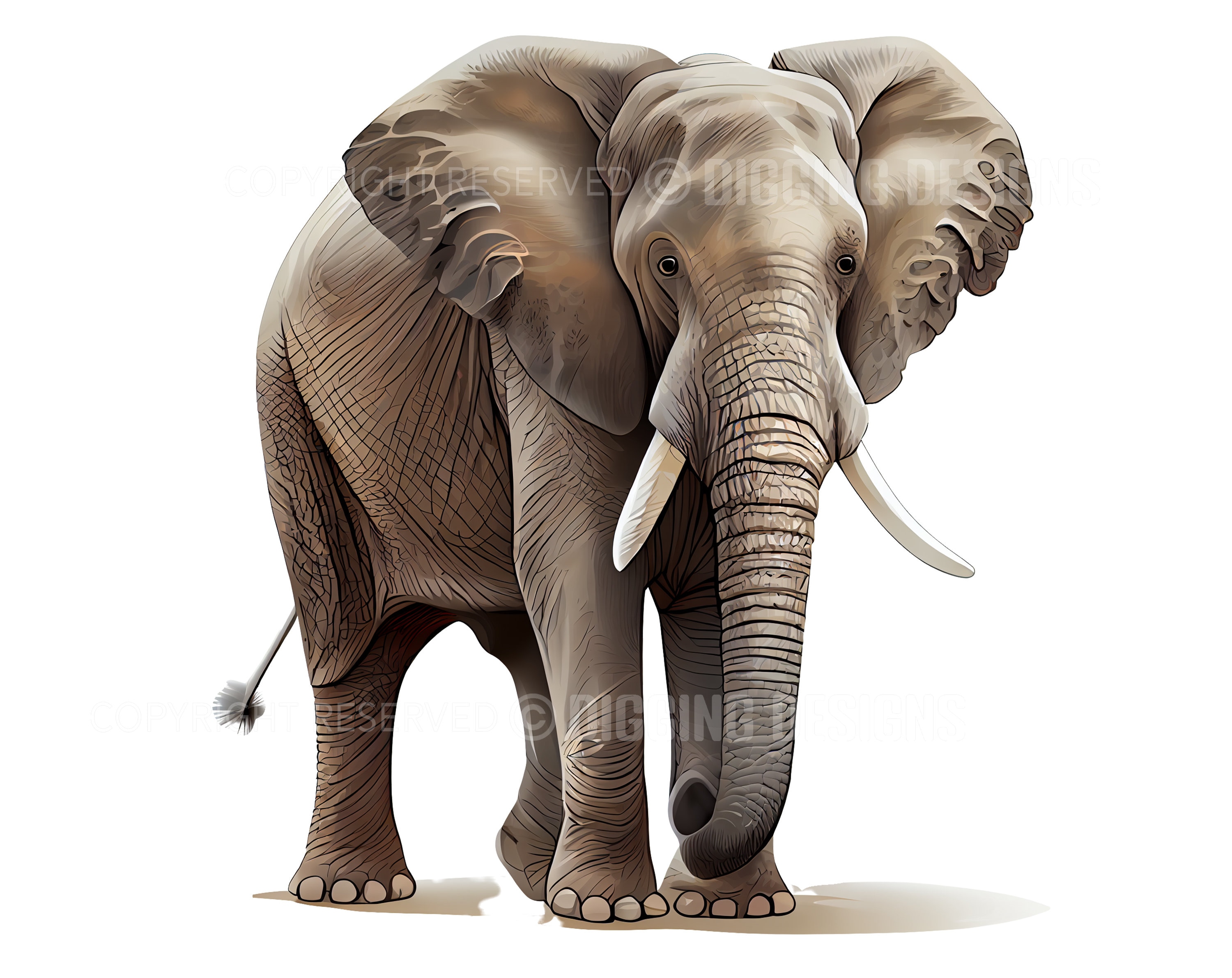 Set of 21 Elephant Realistic Clipart Animal Clip Art - Etsy