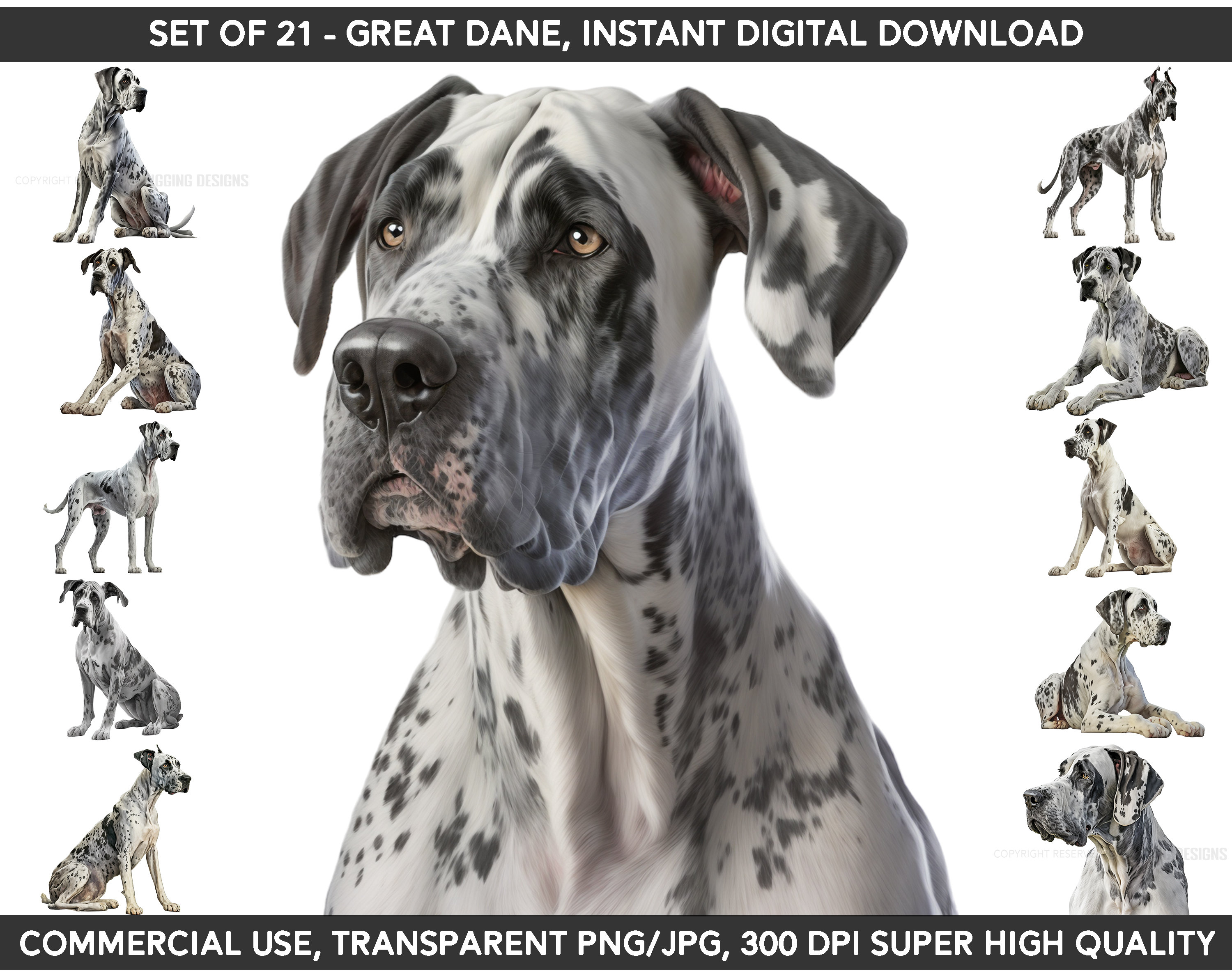 Set of 21 Great Dane PNG Dog Png Premium Quality Bundle - Etsy