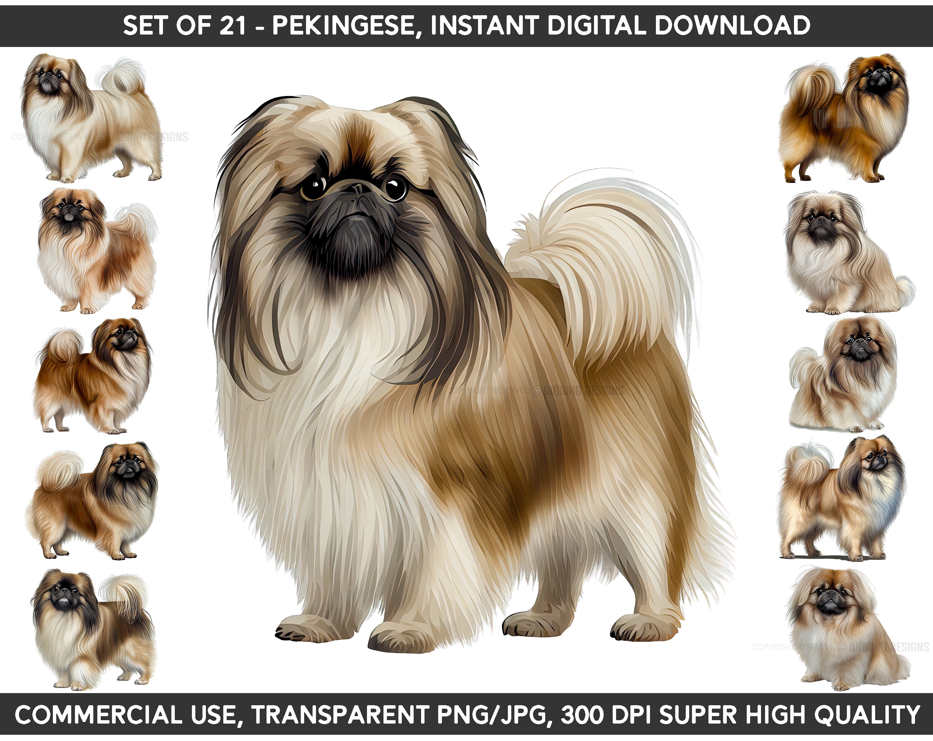 What Were Pekingese Dogs Used For