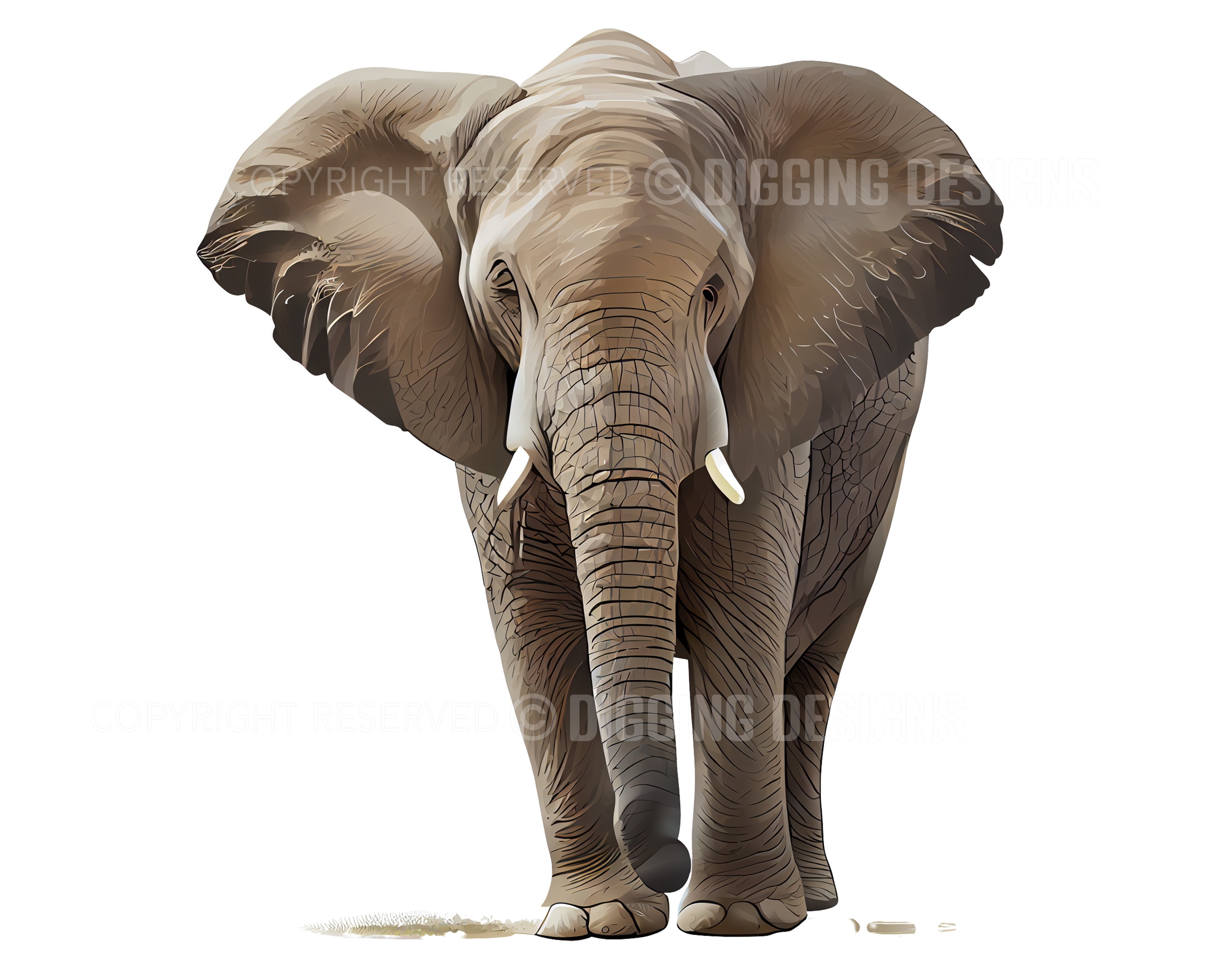 Set of 21 Elephant Realistic Clipart Animal Clip Art - Etsy