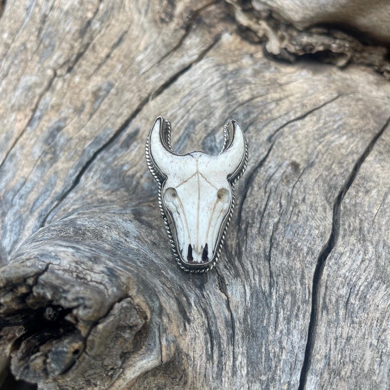 Bone Cattle Head - Etsy UK