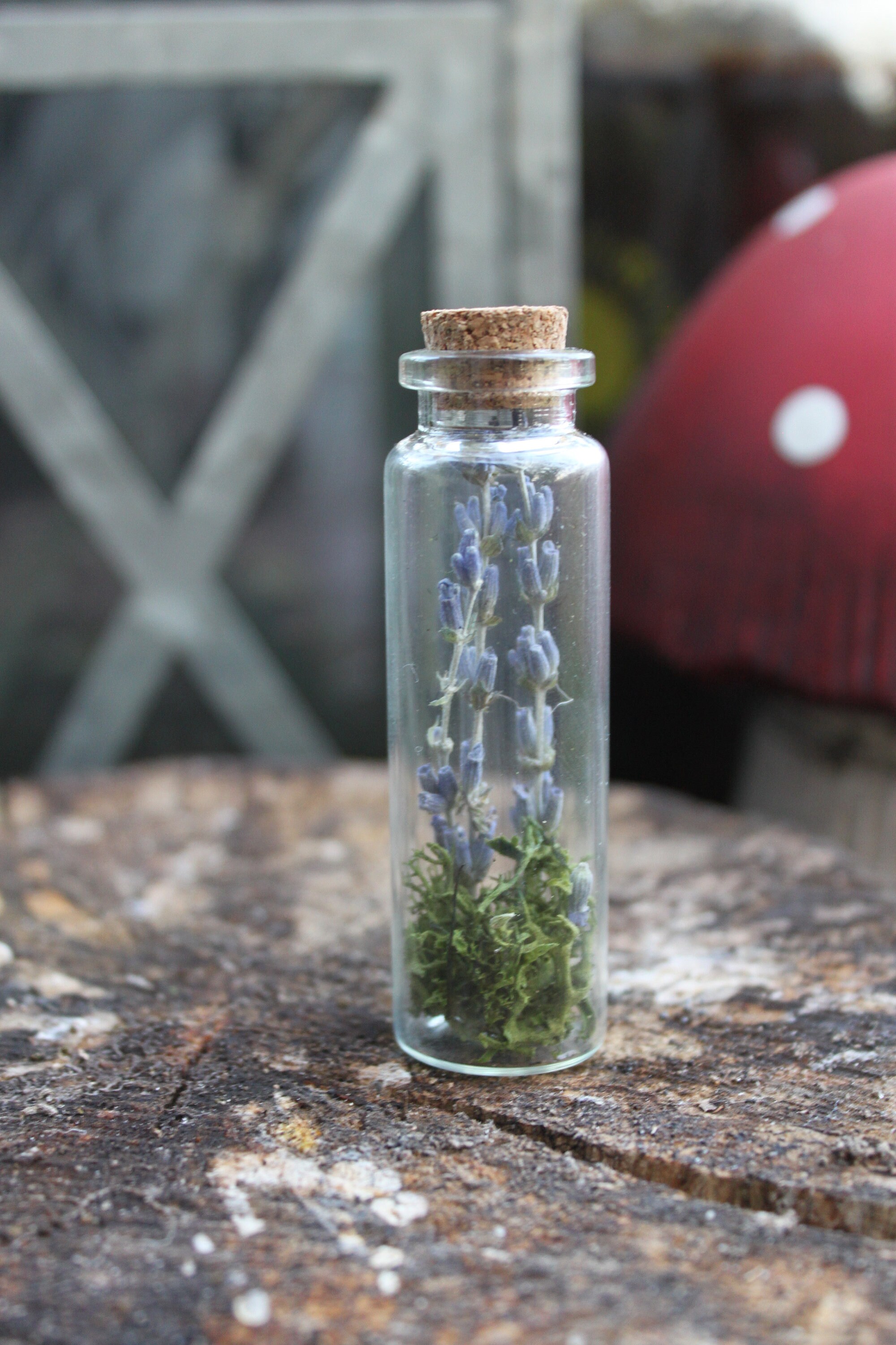 Dried Flower Jars Set Mini Floral Jars Preserved Purple - Etsy