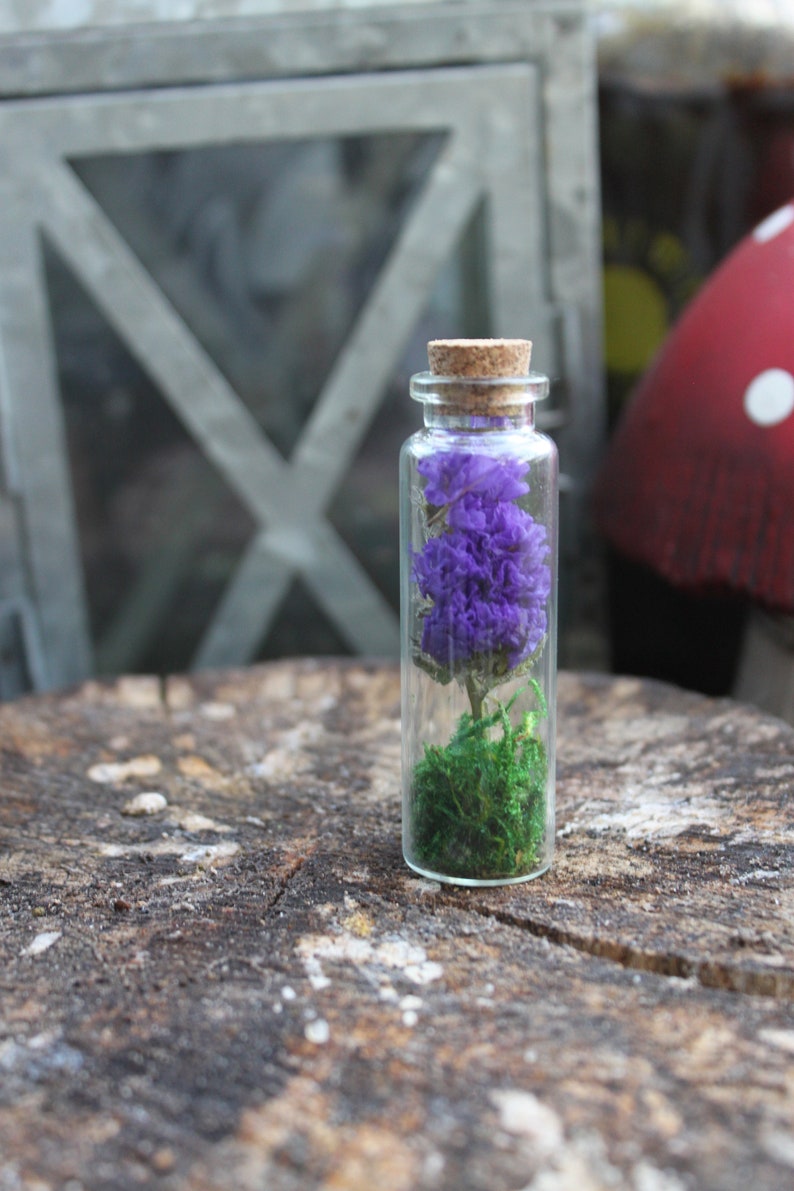 Dried Flower Jars Set, Mini Floral Jars, Preserved Purple Flowers ...