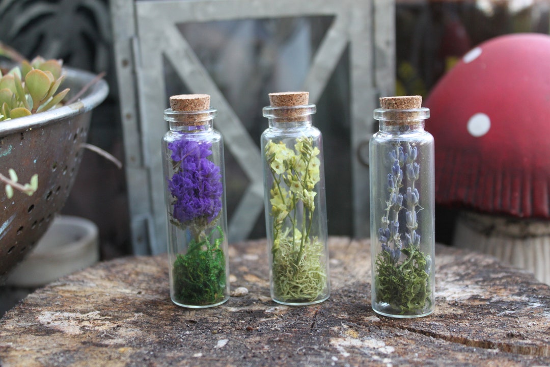 Dried Flower Jars Set, Mini Floral Jars, Preserved Purple Flowers ...