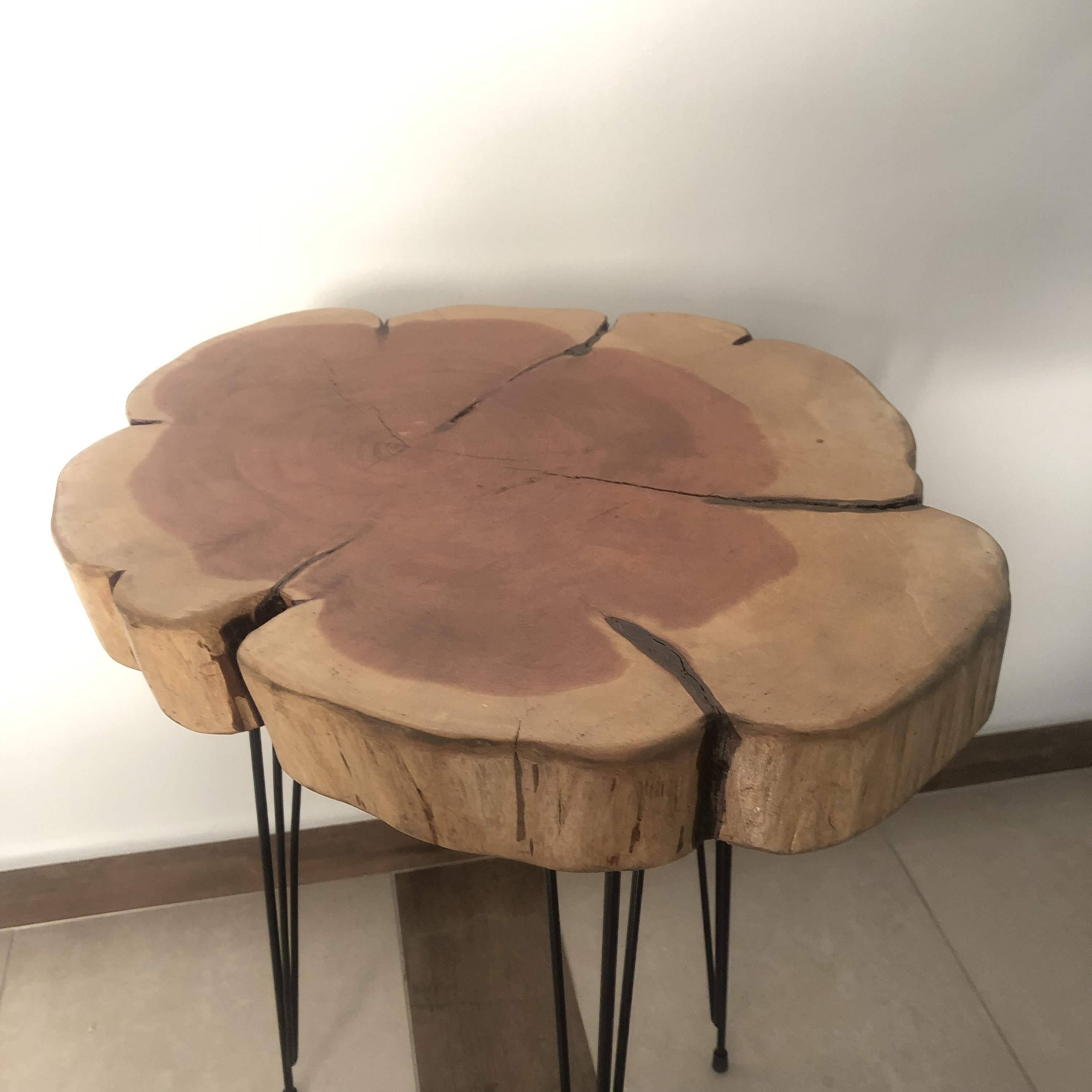 Juniper Tree Log Coffee Table - Etsy