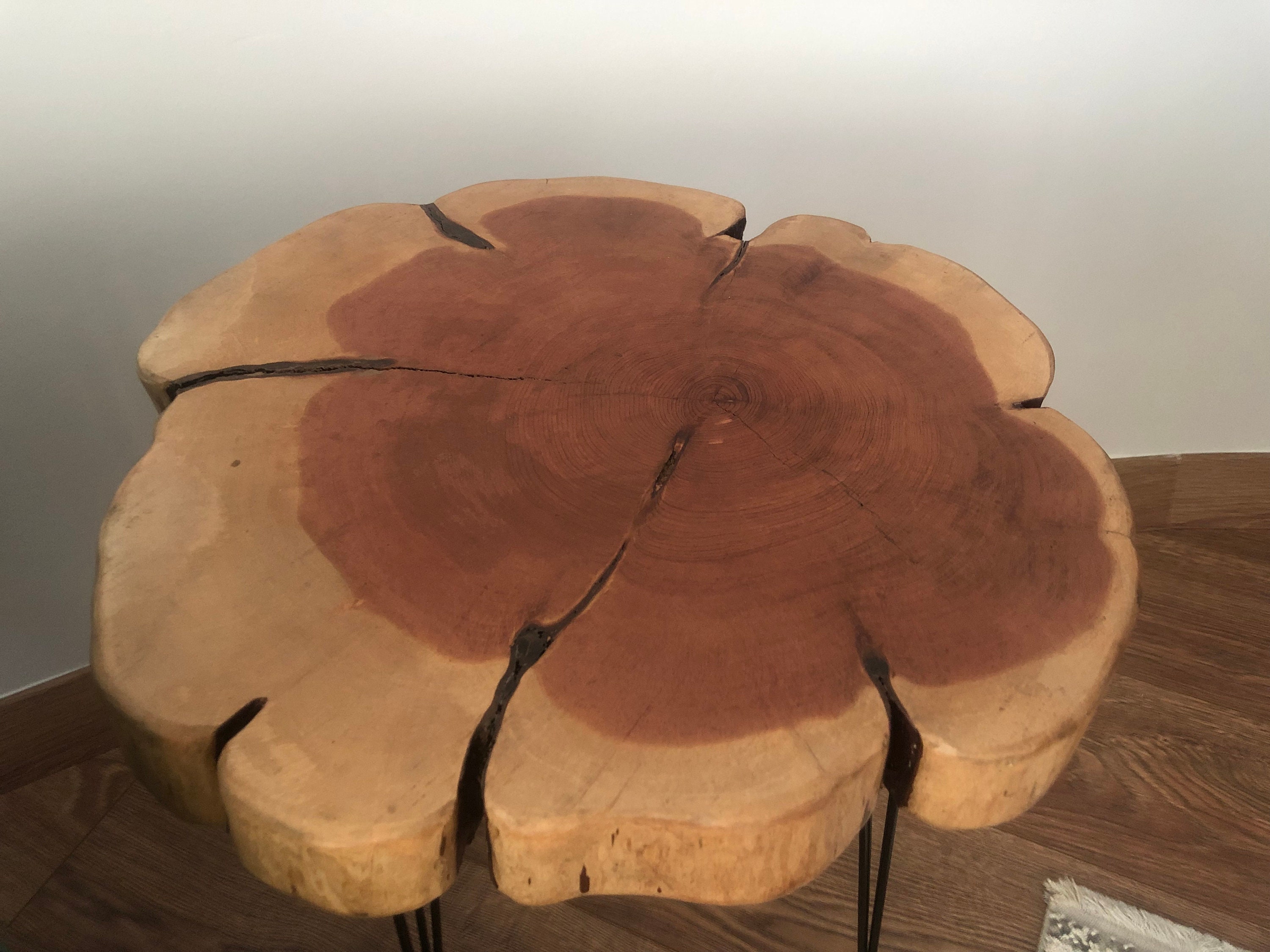 Juniper Tree Log Coffee Table - Etsy