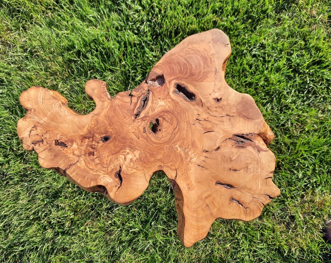 Olive Tree Log Coffee Table - Etsy