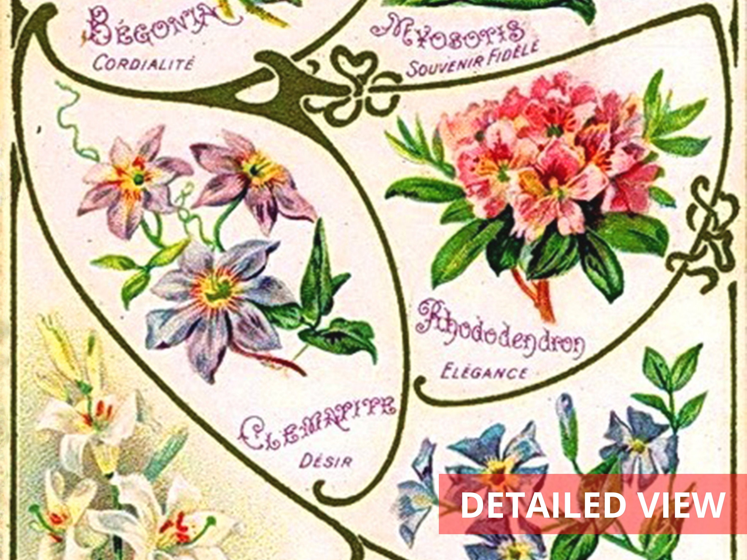 Assorted French Flowers, Antique Botanical Print, Clip Art, Digital ...