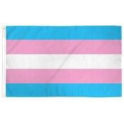 Transgender Landscape Art Print Transgender Minimal Poster - Etsy