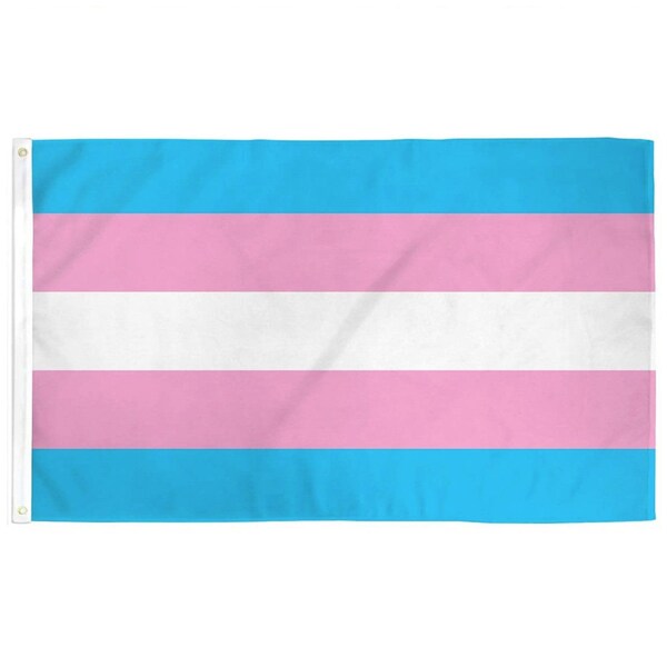 Transgender Landscape Art Print Transgender Minimal Poster - Etsy