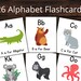 Alphabet Flashcards 26 Cute Alphabet Cards for Letter - Etsy