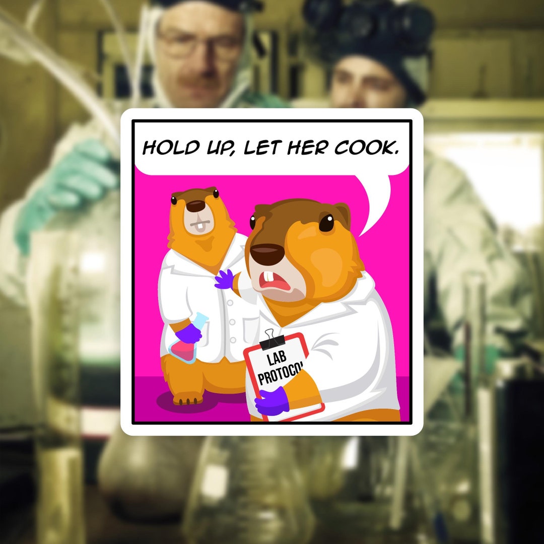 Hold Up, Let Her Cook Sticker | Funny Marmot Meme Sticker, Chemistry ...
