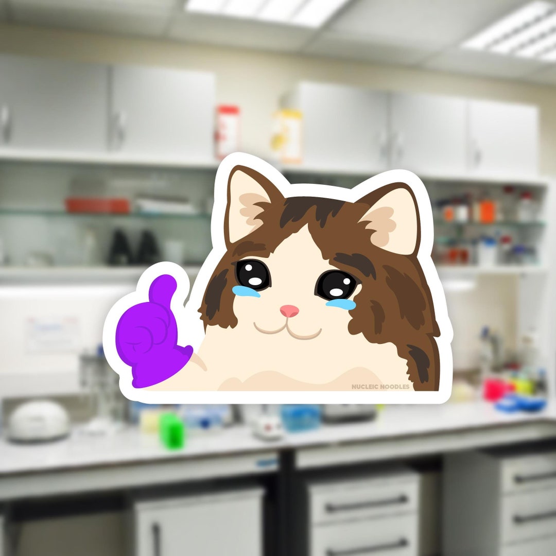 Thumbs up Crying Lab Cat Sticker | Sad Cat Meme, Grad School Sticker ...