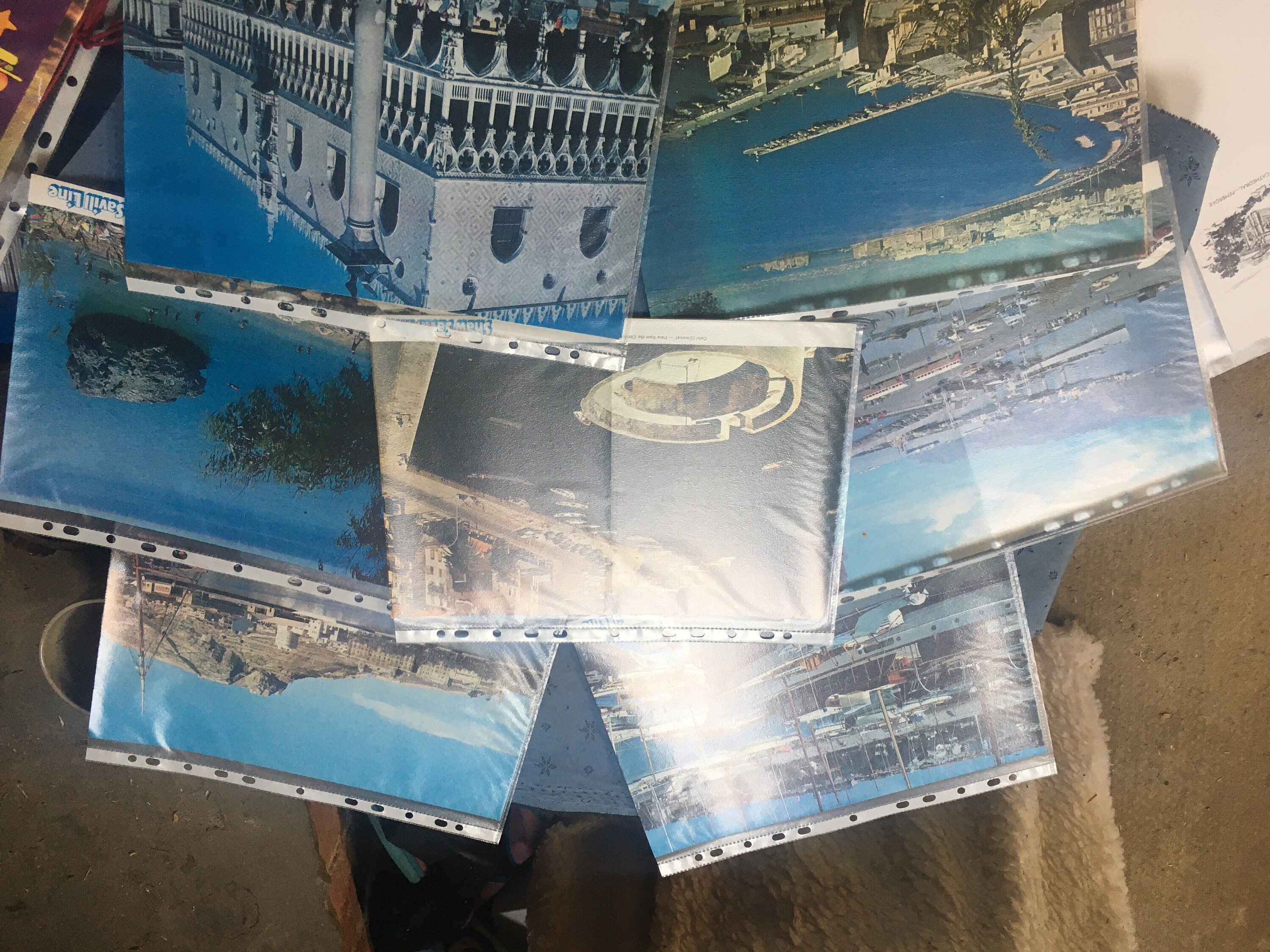 Large Collection of Ocean Monarch Memorabilia - Etsy