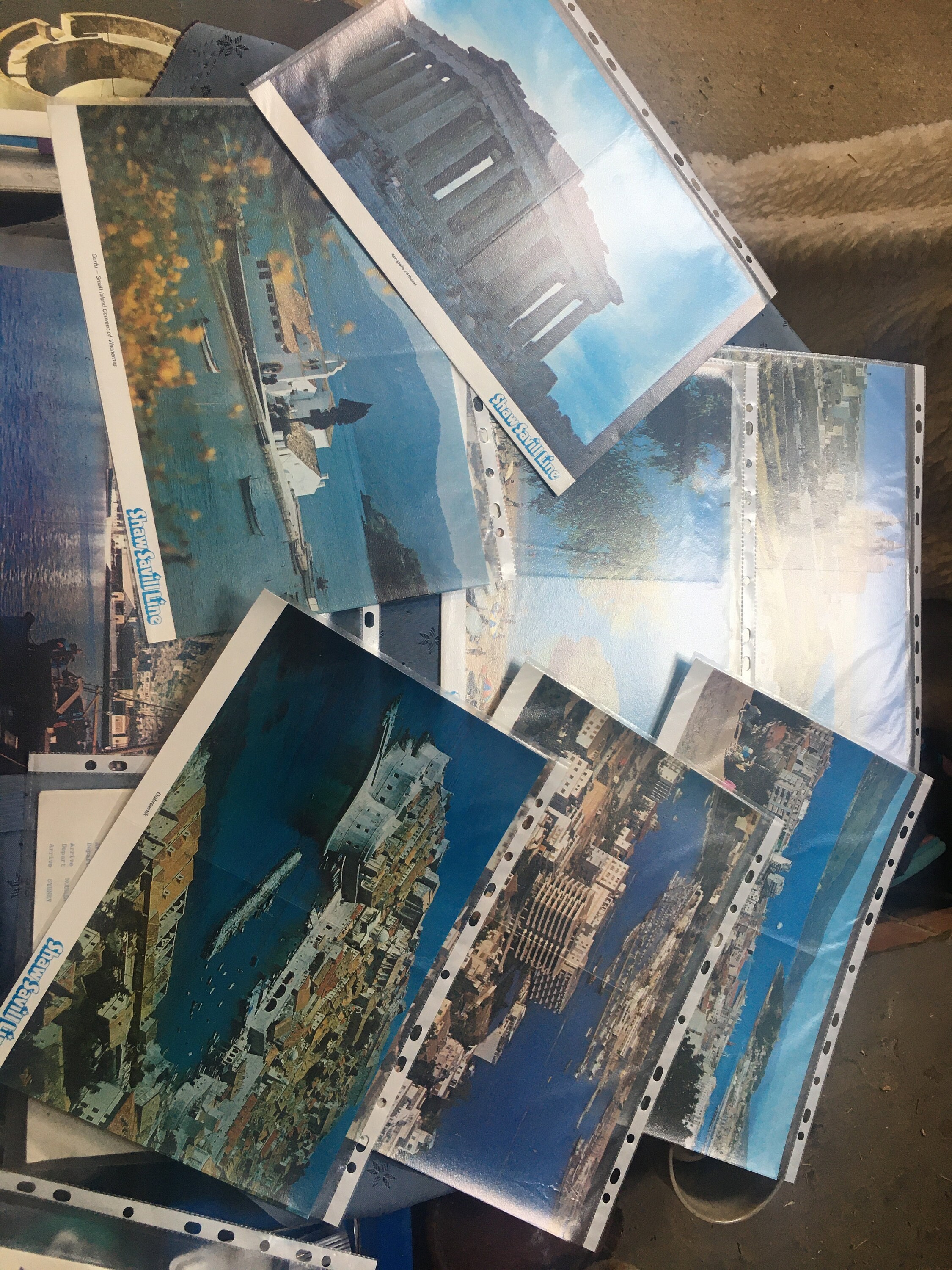 Large Collection of Ocean Monarch Memorabilia - Etsy