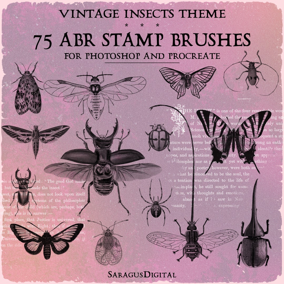 Vintage Insect Stamps, 75 ABR Brushes for Photoshop and Procreate ...