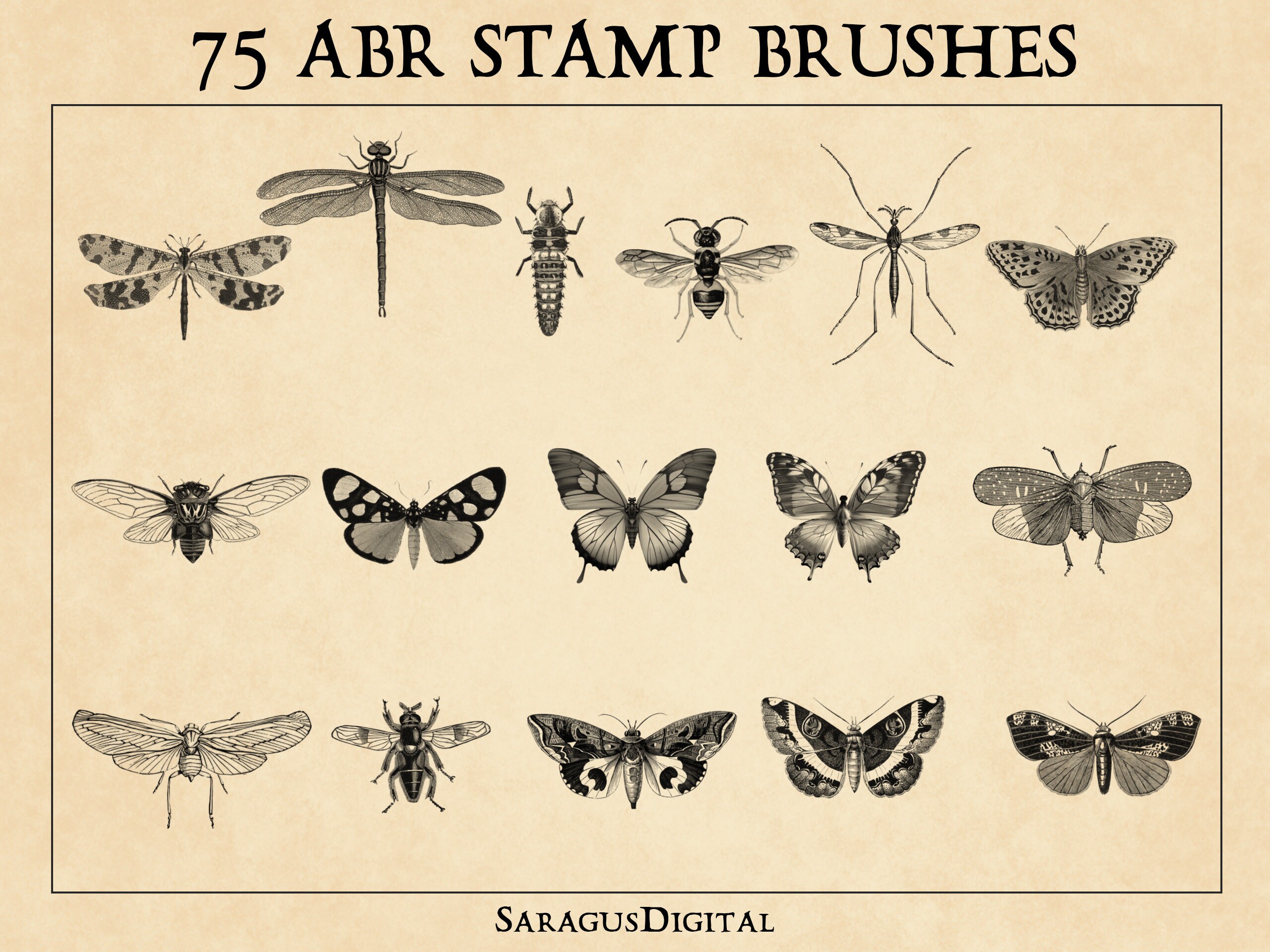 Photoshop & Procreate Stamps Brushes: 75 Vintage Insect ABR Brushes ...