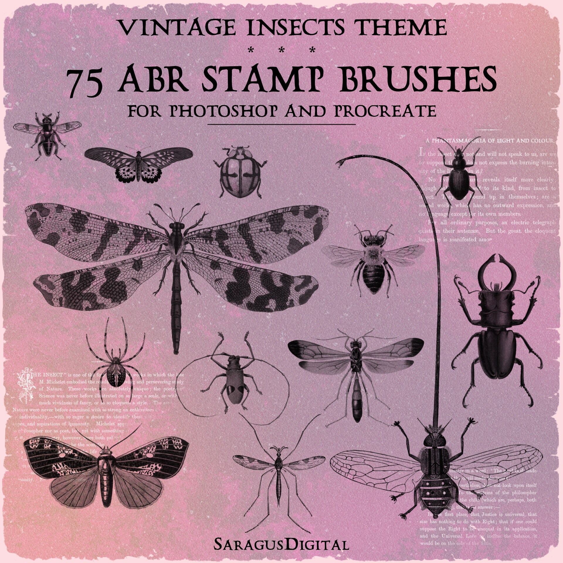 Vintage Insect Stamps, 75 ABR Brushes for Photoshop and Procreate ...