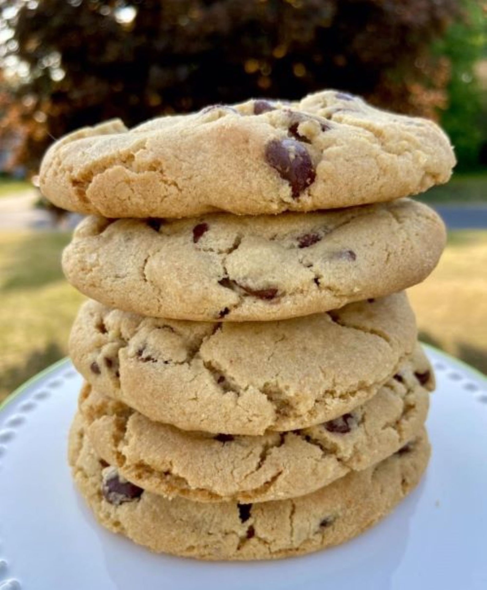 Chocolate Chip Cookies - Etsy