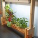 Tabletop Hydrogarden 5 Spots - Etsy