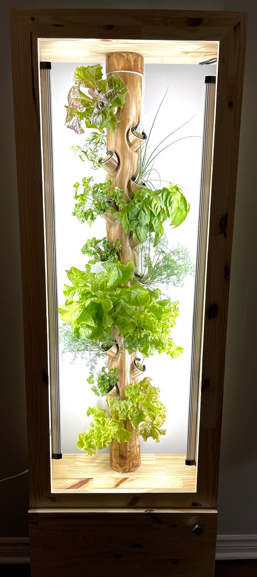 Vertical Hydrogarden North American Delivery - Etsy