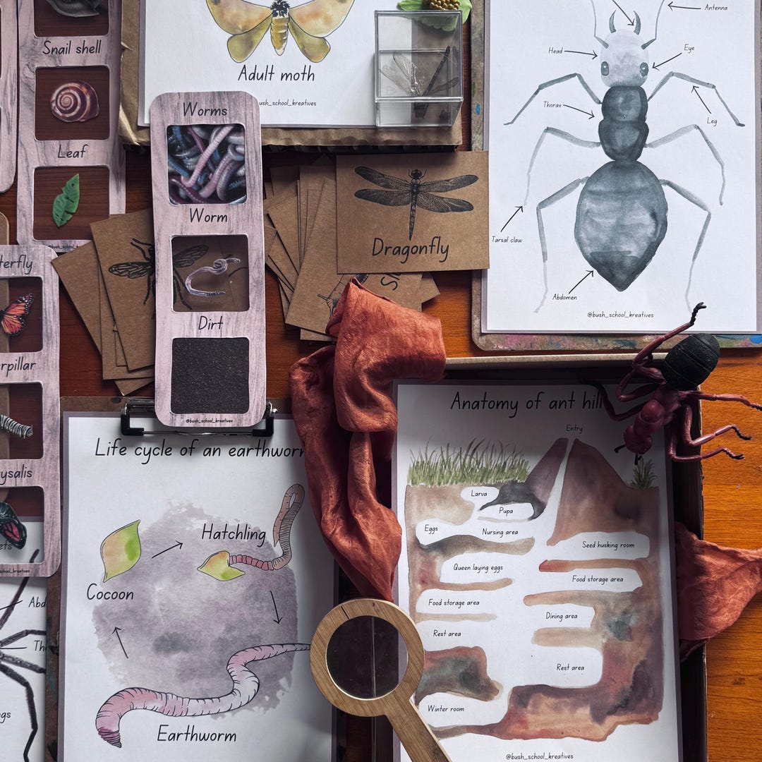 Bugs and Insects Mega Resource Bundle - Etsy
