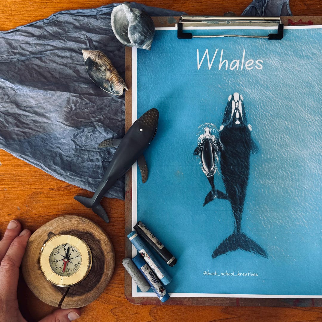 Whale Learning Bundle - Etsy