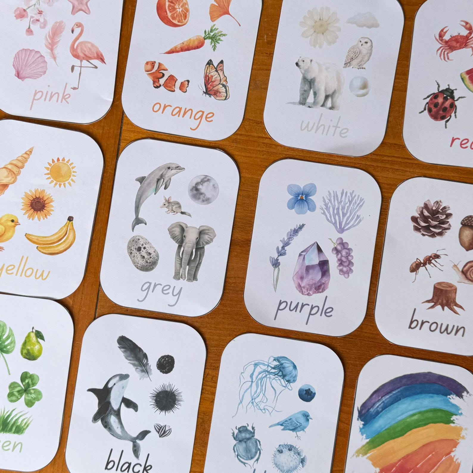Colours of Nature: Set of 12 Colour Flash Cards - Etsy Canada