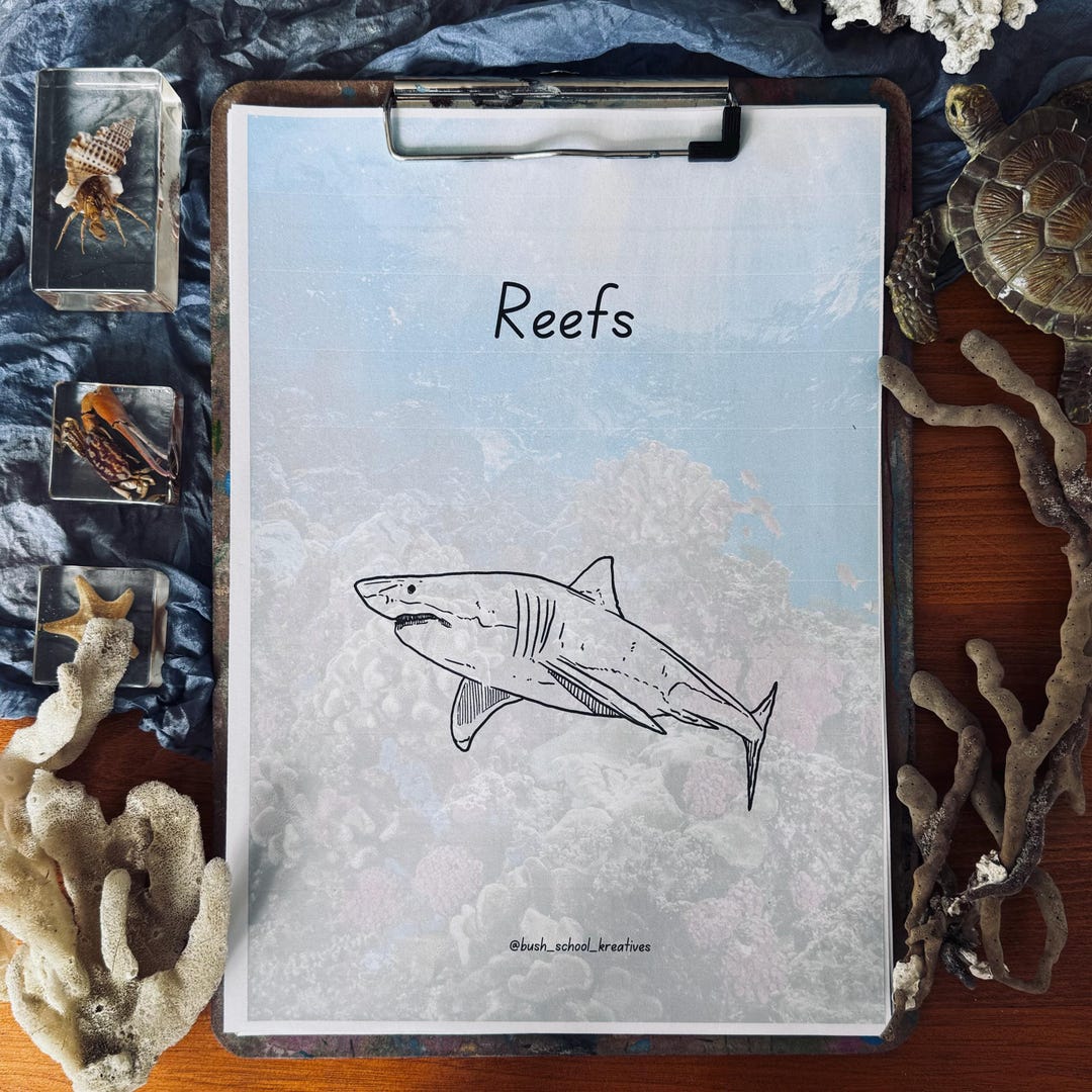 Reef Learning Bundle - Etsy