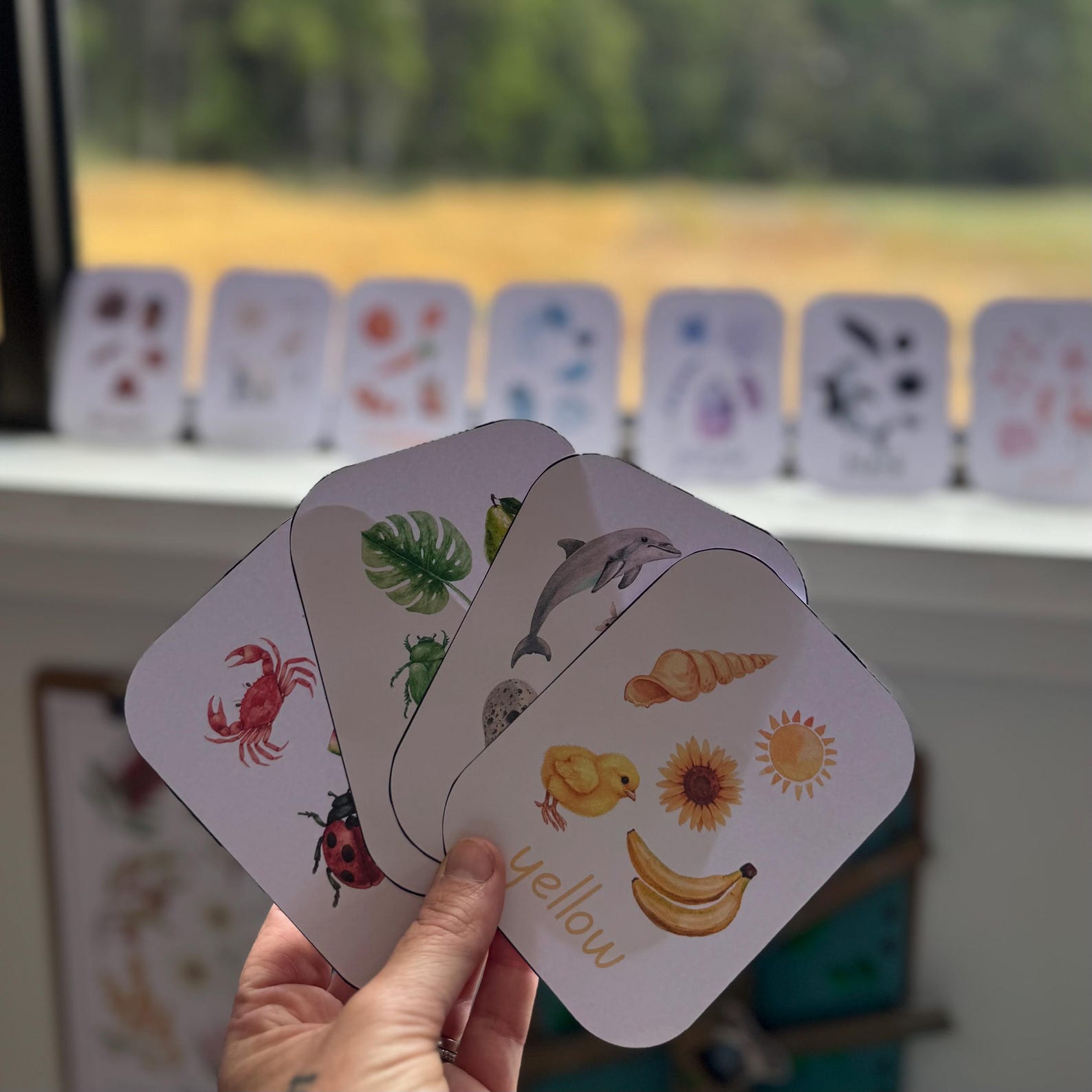 Colours of Nature: Set of 12 Colour Flash Cards - Etsy Canada