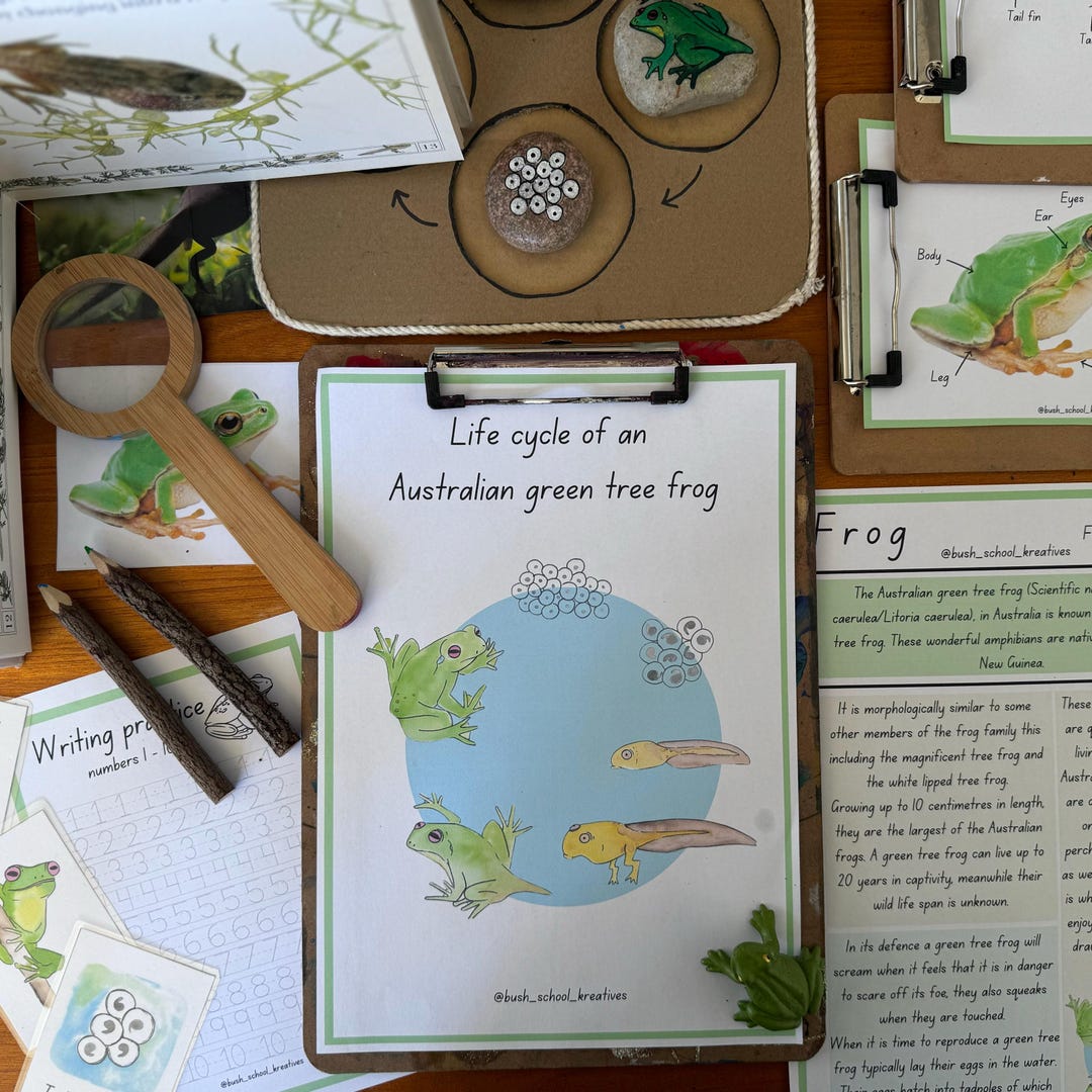 Frog Learning Bundle - Etsy
