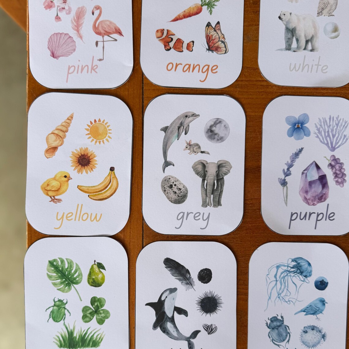 Colours of Nature: Set of 12 Colour Flash Cards - Etsy Canada