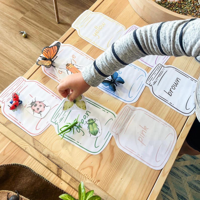 Insect Colour Sorting: Colour Recognition a Activity for the Early ...